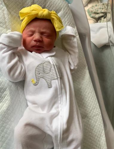 CareCalendar - Aaron & Chelsea Delp - Log on to help